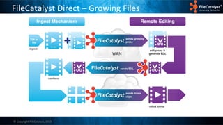 FileCatalyst Introduction | PPT