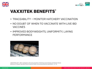 VAXXITEK HVT + IBD - Field Study - United Kingdom - Merial | PDF
