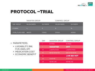 VAXXITEK HVT + IBD - Field Study - China - Merial | PDF