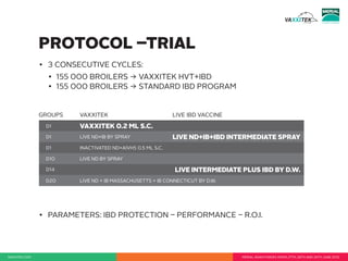 VAXXITEK HVT + IBD - Field Study - Egypt - Merial | PDF