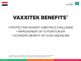 VAXXITEK HVT + IBD - Field Study - Egypt - Merial | PDF