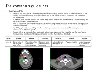 2015 06-25 delineation of the neck node levels for head and neck ...