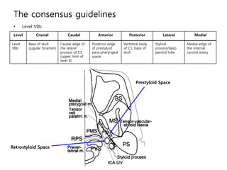 2015 06-25 delineation of the neck node levels for head and neck ...