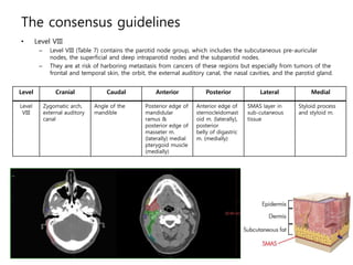 2015 06-25 delineation of the neck node levels for head and neck ...