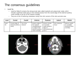 2015 06-25 delineation of the neck node levels for head and neck ...