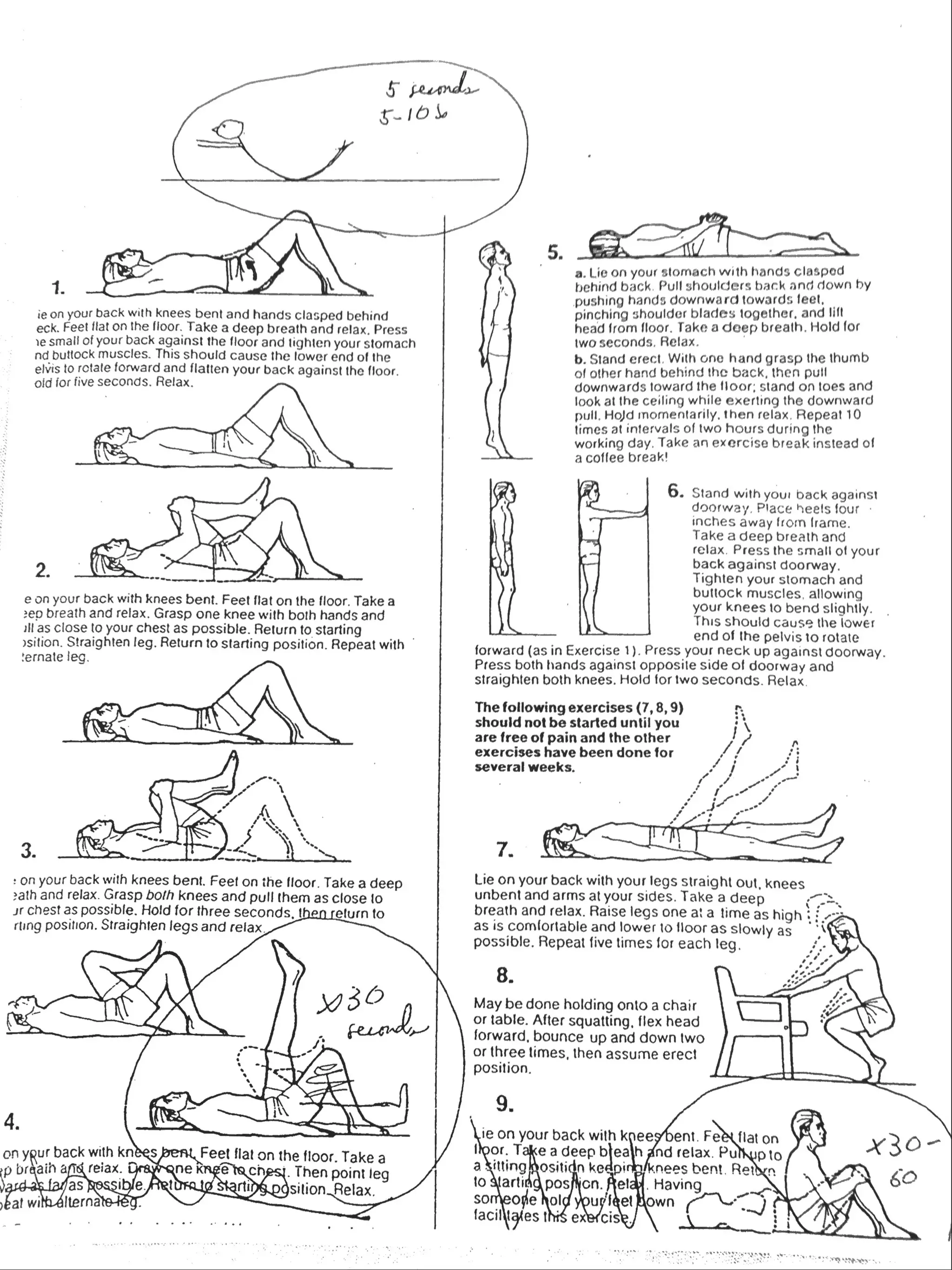 Dr. Adelman's Back Care Exercises | PDF