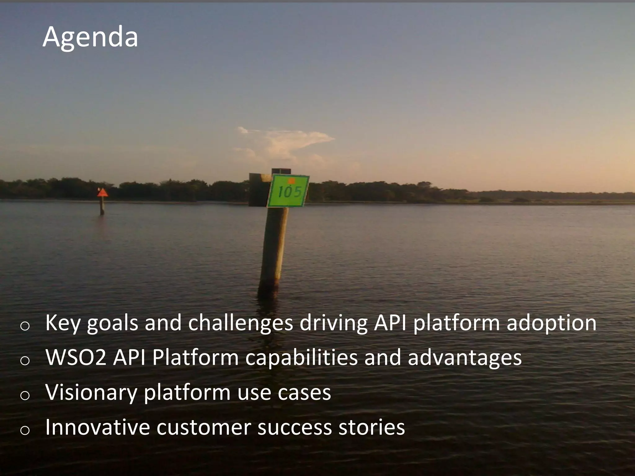 WSO2 API Platform: Vision and Roadmap | PDF