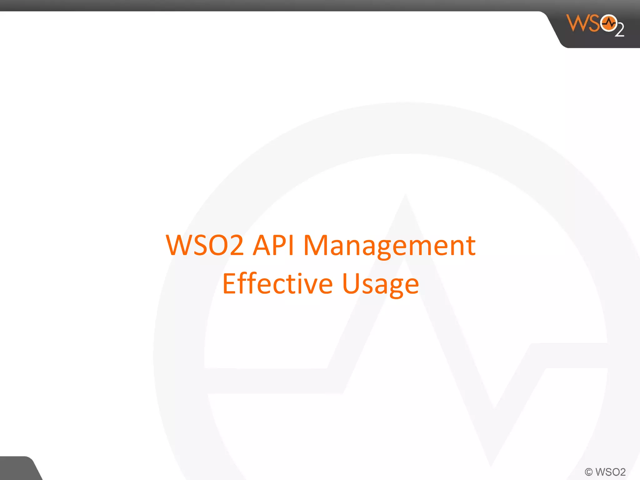 WSO2 API Platform: Vision and Roadmap | PDF