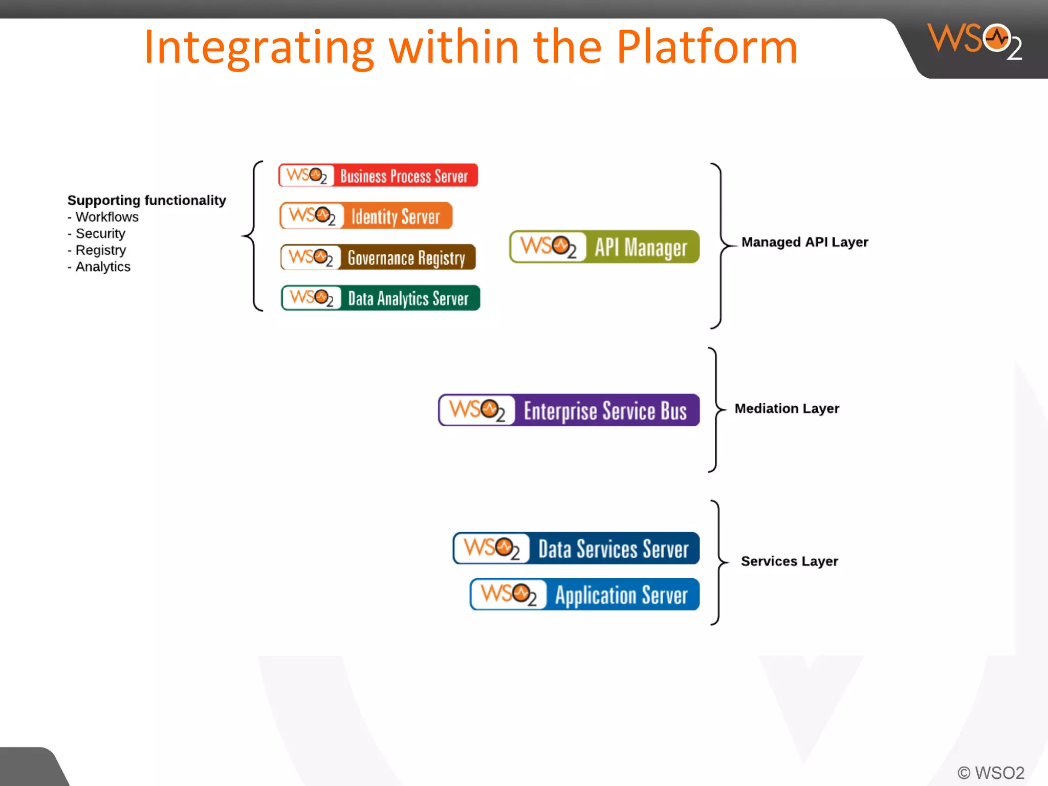 WSO2 API Platform: Vision and Roadmap | PDF