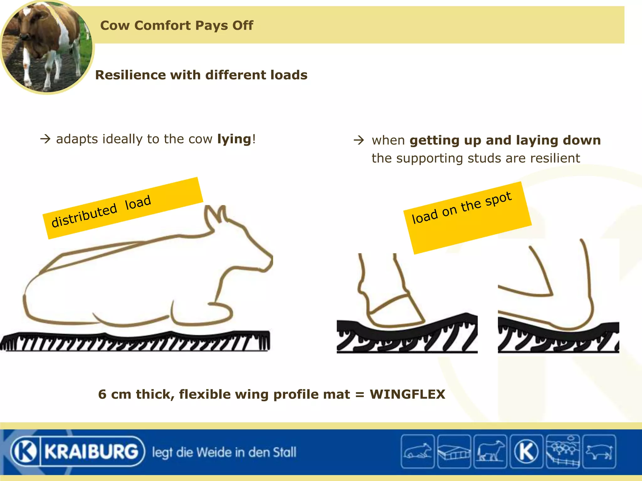 Daily routine of a dairy cow | PPTX