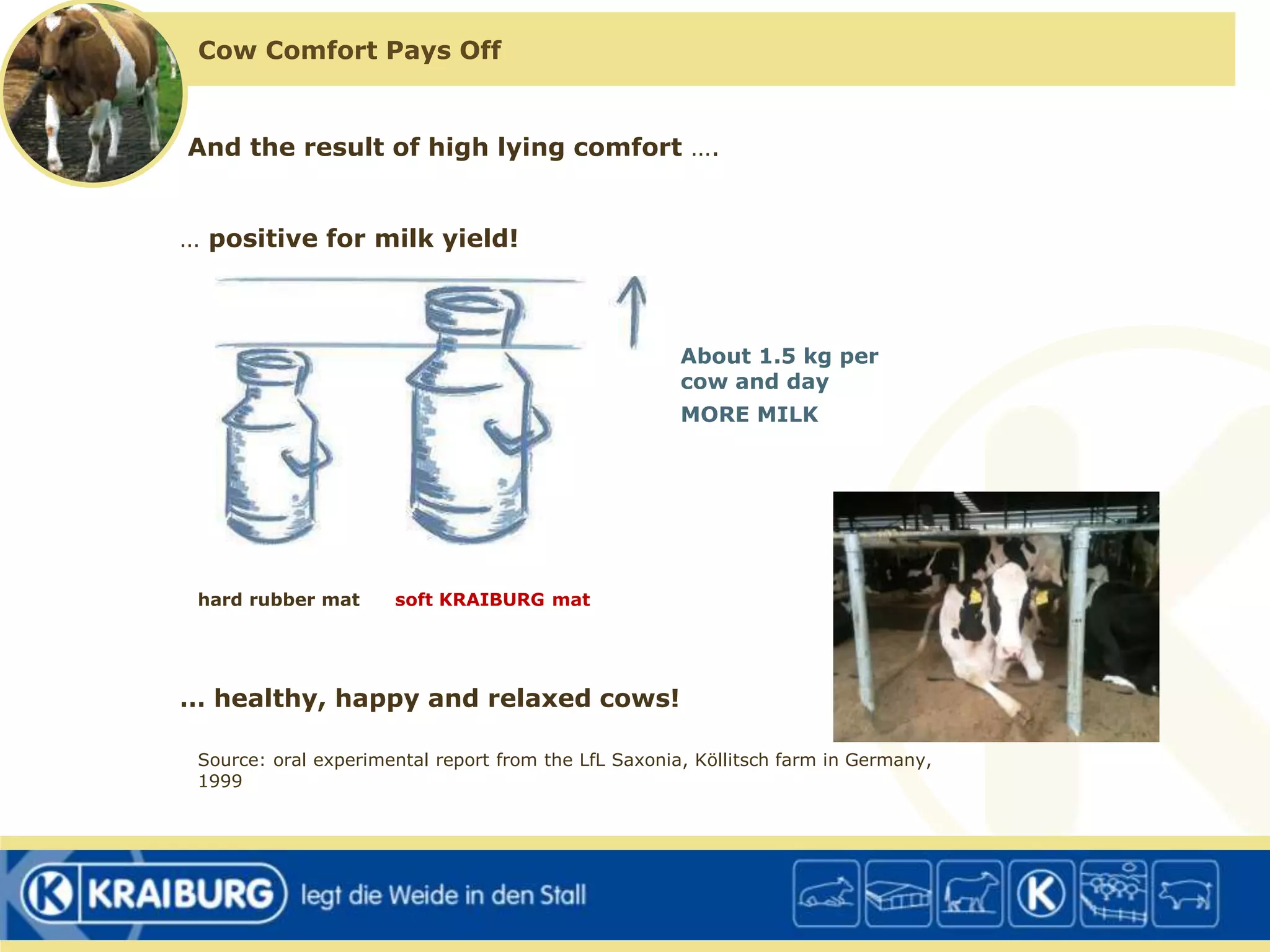 Daily routine of a dairy cow | PPTX