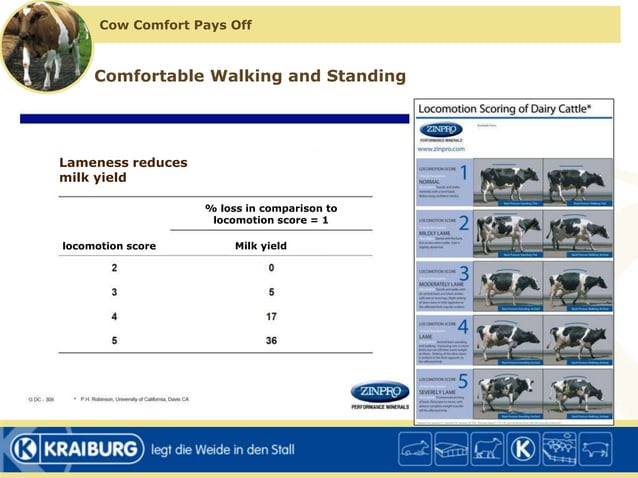 Daily routine of a dairy cow | PPT