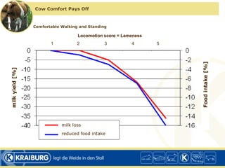 Daily routine of a dairy cow | PPTX | Food & Drink
