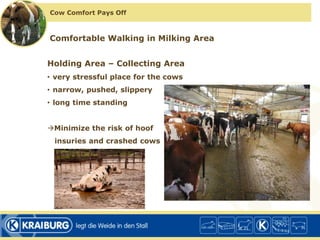 Daily routine of a dairy cow | PPTX