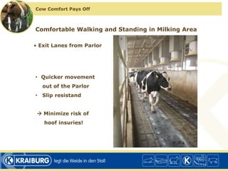 Daily routine of a dairy cow | PPT