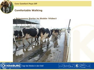 Daily routine of a dairy cow | PPTX