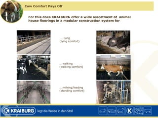 Daily routine of a dairy cow | PPTX | Food & Drink