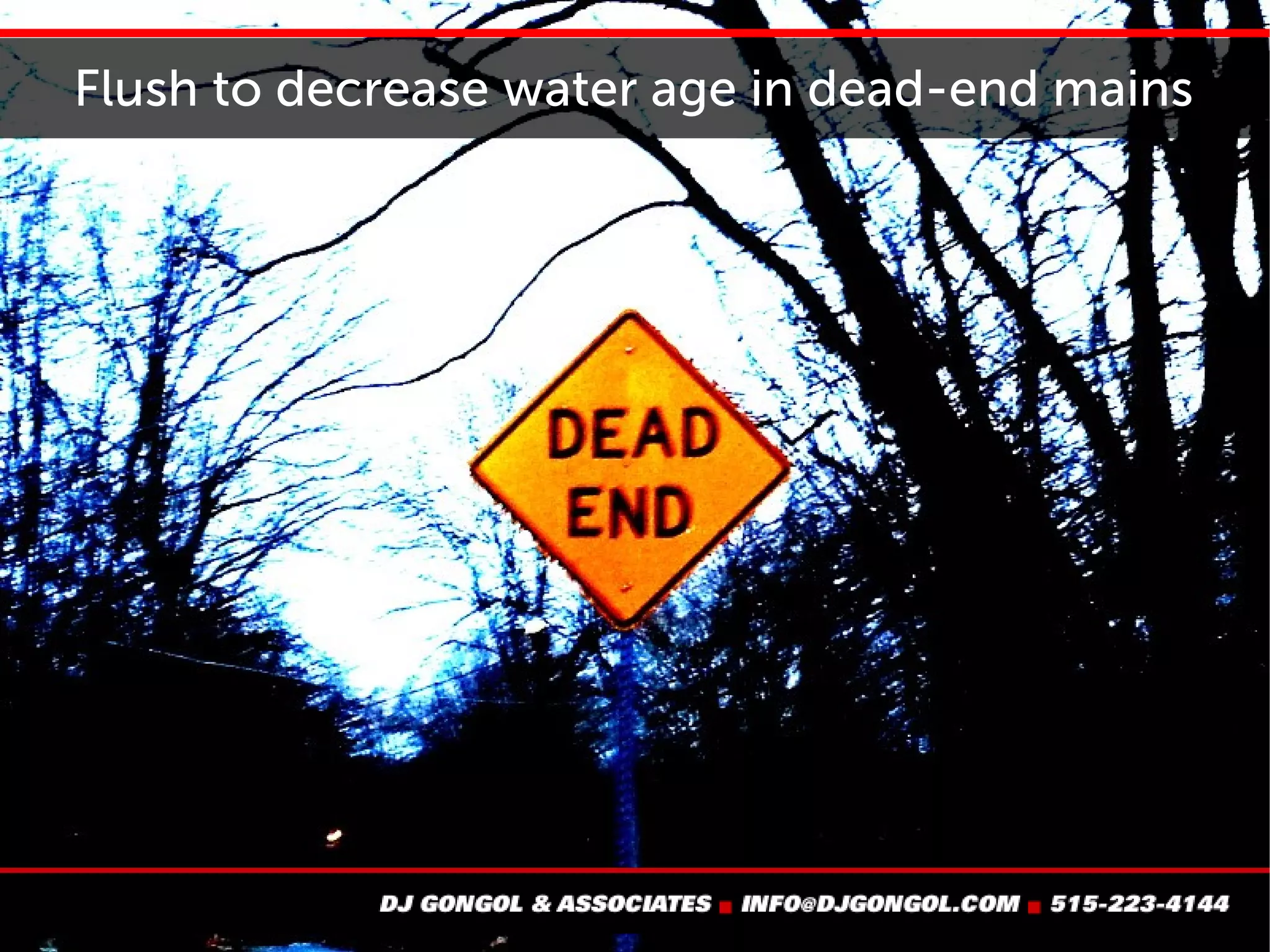 Hydrant flushing programs | PDF