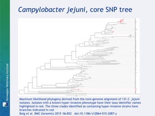 2015 12-09 nmdd | PPT