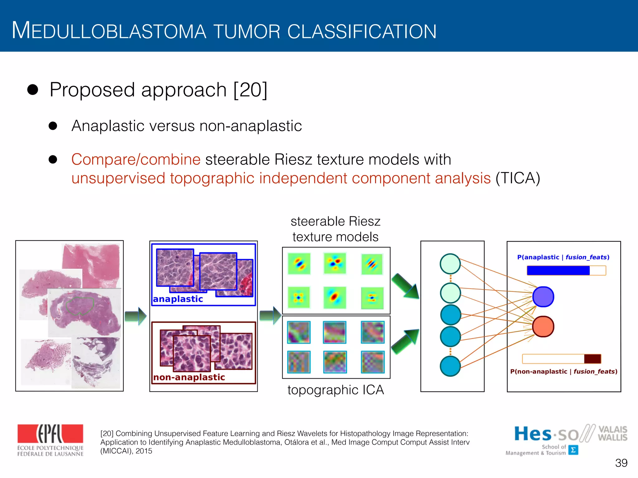 Texture-Based Computational Models of Tissue in Biomedical Images: Initial Experience With ...