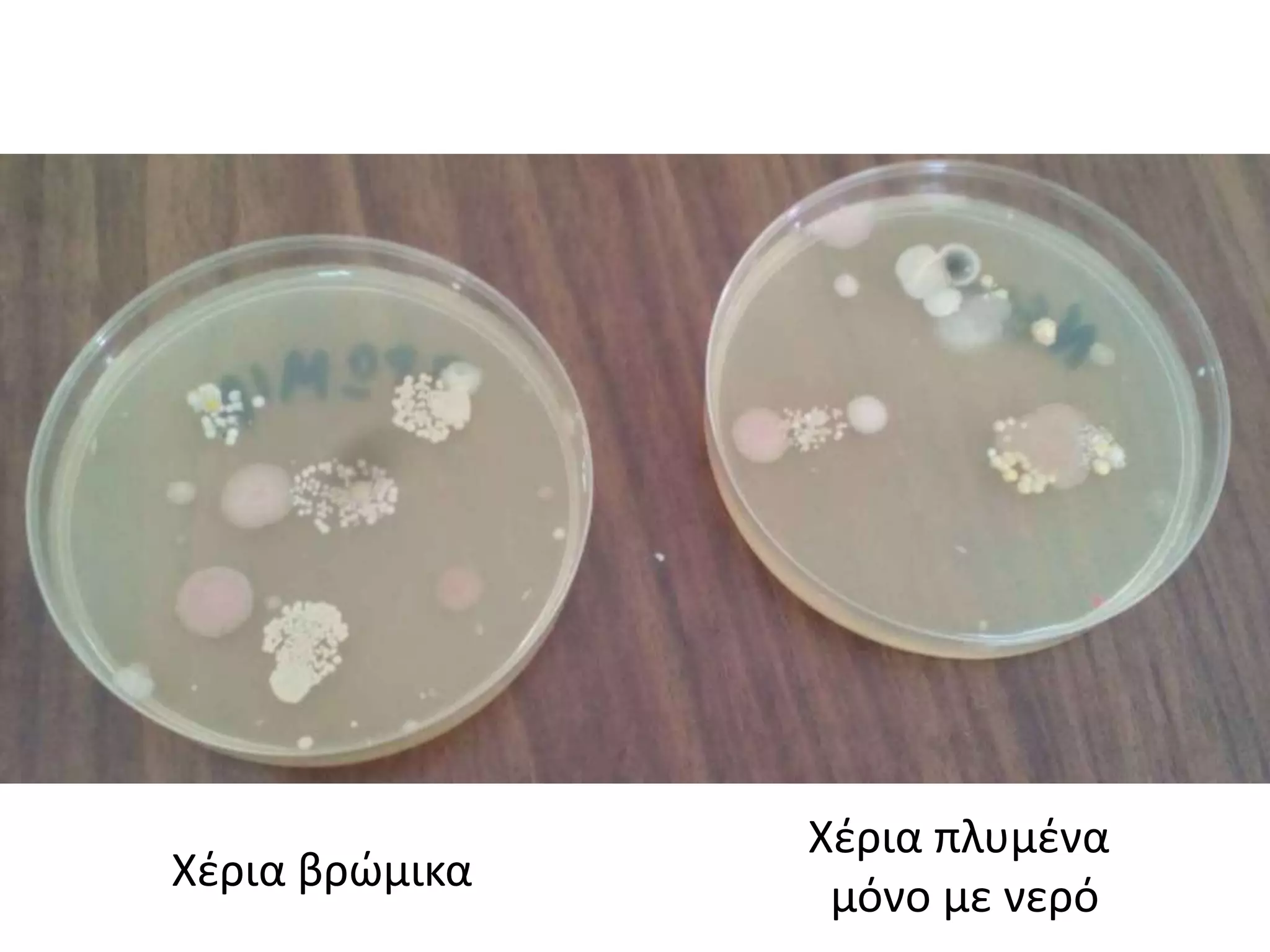 Πλύσιμο χεριών και μικροοργανισμοί 2015-16 | PPT