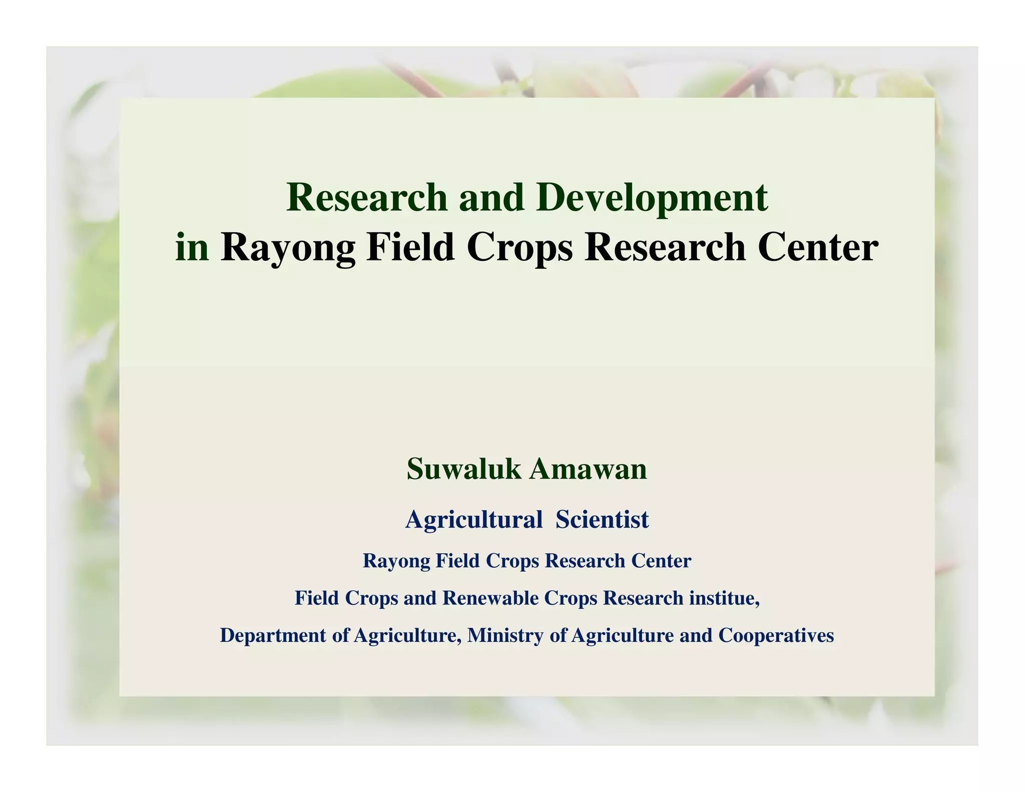 2015. suwaluk amawan. RYFCRC Characterization of cassava | PPT