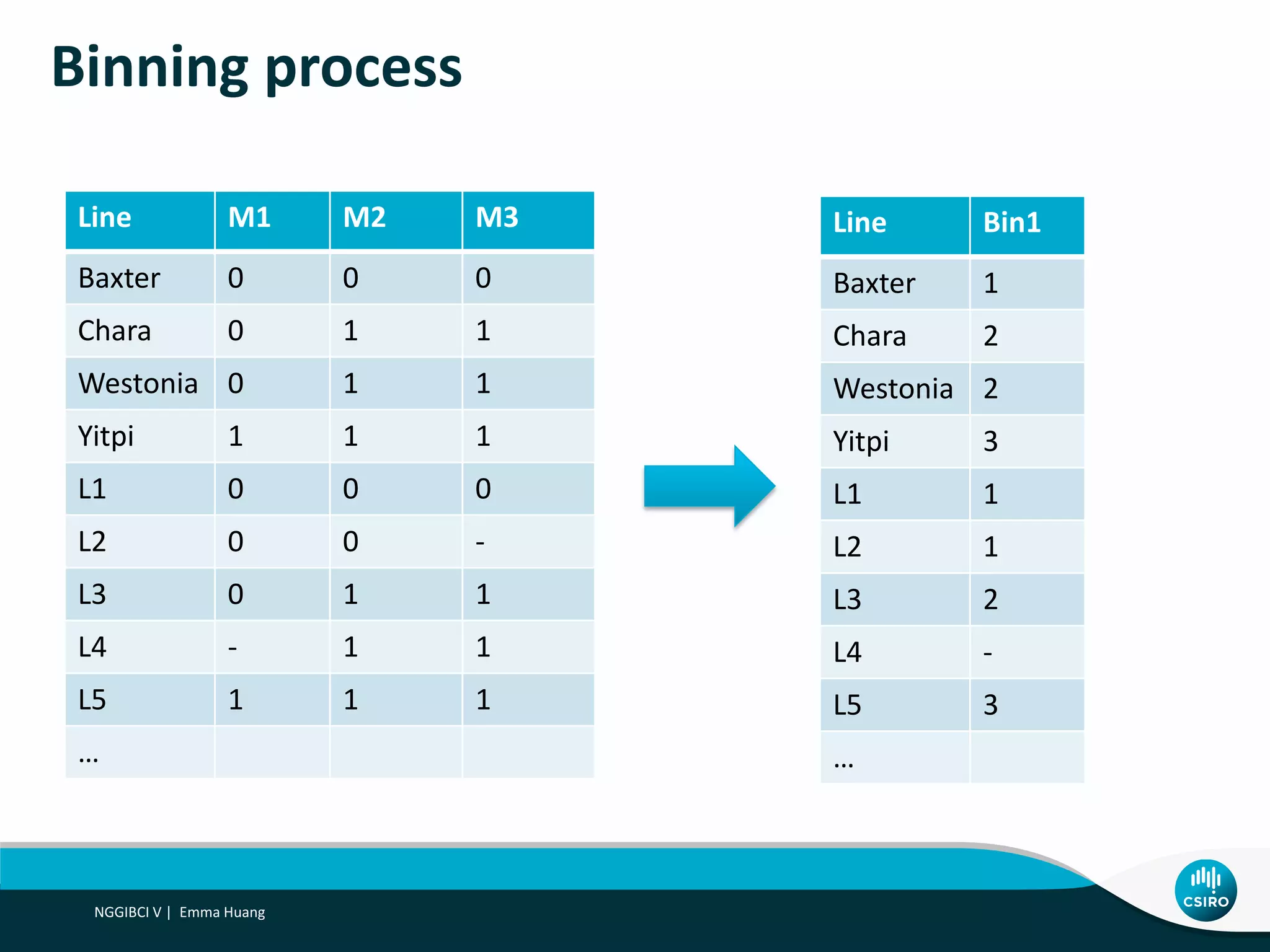 2015. Emma Huang. Challenges and advantages of magic map construction | PDF