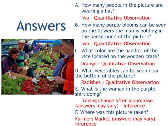 Observation & Inference: Notes | PPT