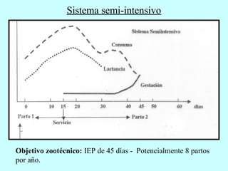 2015. Conejos. Manejo.ppt2015. Conejos. Manejo.ppt