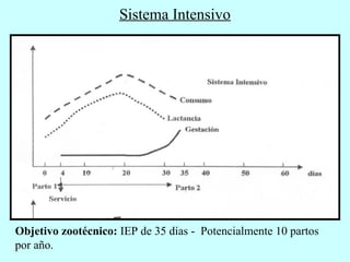 2015. Conejos. Manejo.ppt2015. Conejos. Manejo.ppt