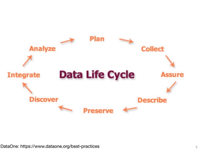 From research life cycle to networks: The role of the library | PDF