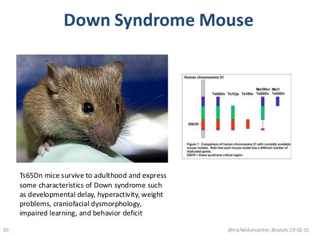 Making the most of phenotypes in ontology-based biomedical knowledge