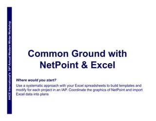 Leveraging NetPoint & Excel for Template-Based Project Planning | PPT