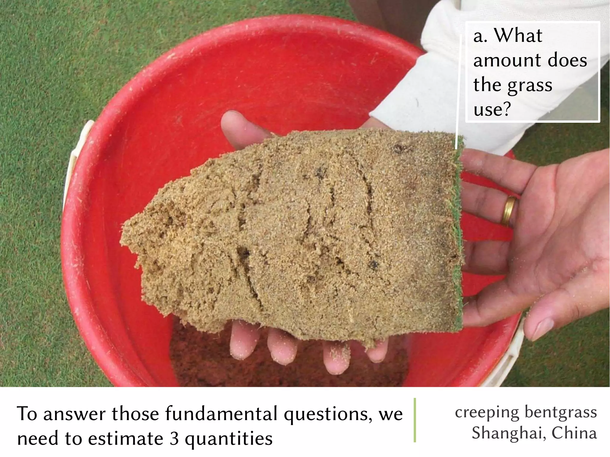 Estimating Turfgrass Nutrient Use | PDF
