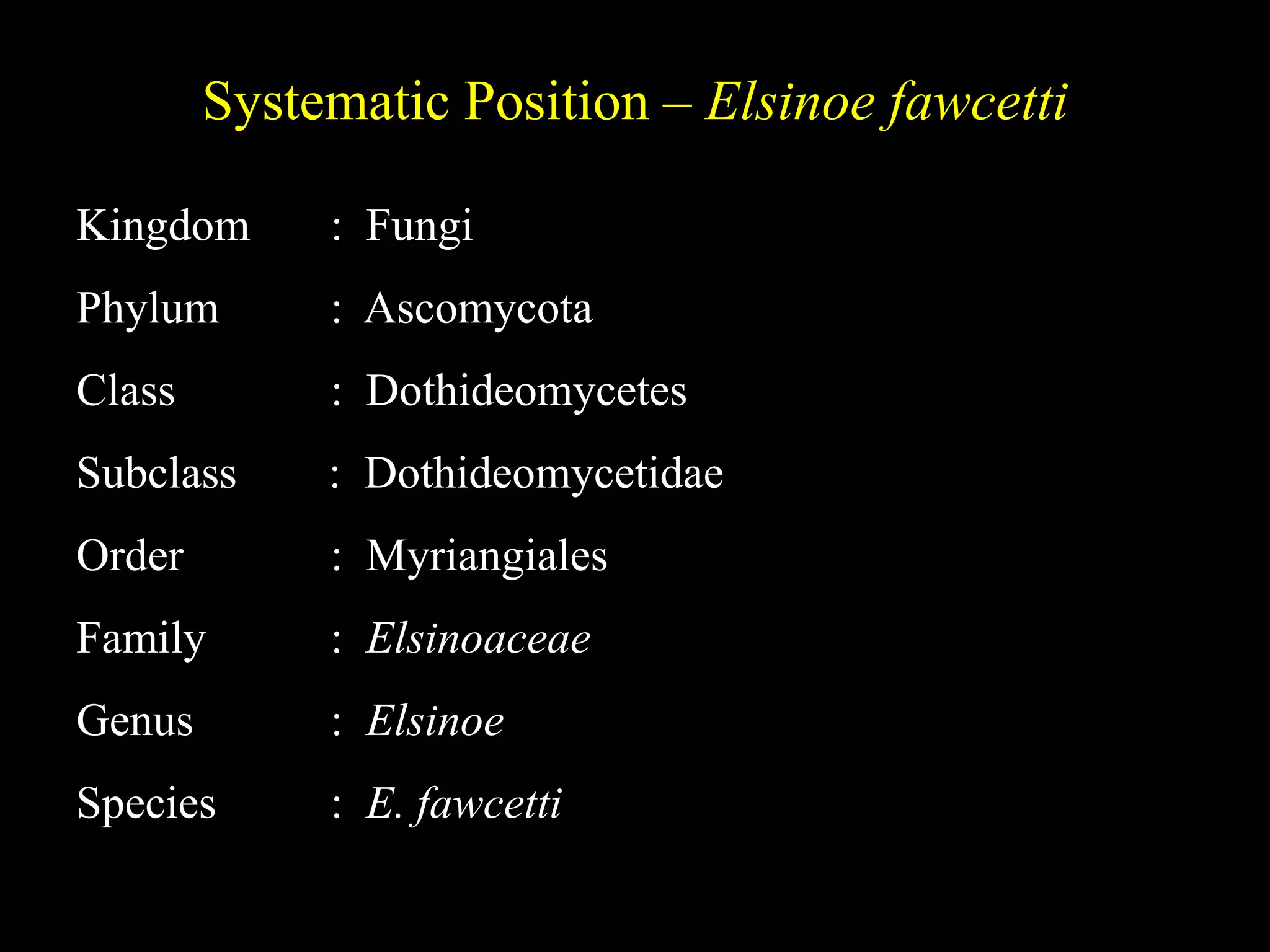 2015021026 citrus scab | PPTX