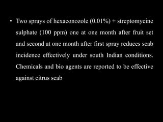 2015021026 citrus scab | PPTX