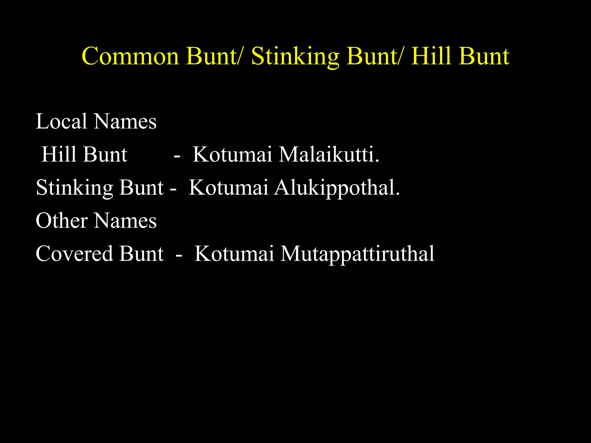 Stinking Smut/ Common Bunt/ Hill Bunt of wheat | PPTX