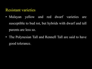 2015021036 coconut bud rot | PPTX