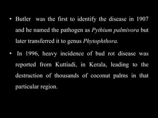 2015021036 coconut bud rot | PPTX