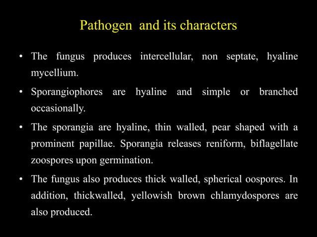 2015021036 coconut bud rot | PPTX