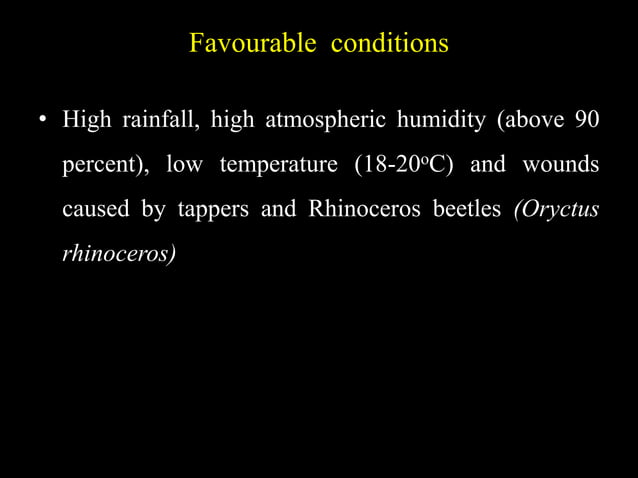 2015021036 coconut bud rot | PPTX