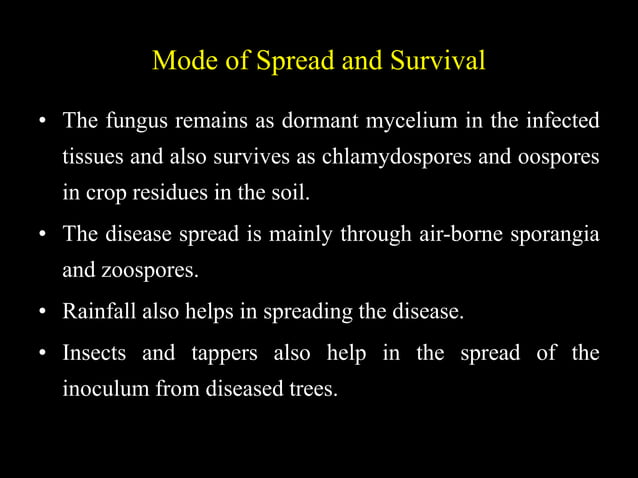 2015021036 coconut bud rot | PPTX