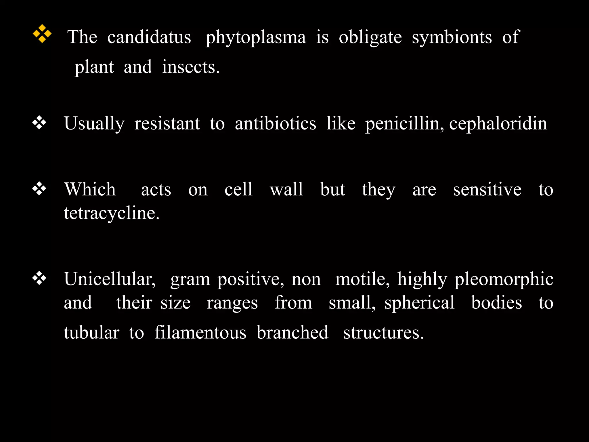 Blackgram leaf crinkle and curl disease | PPTX