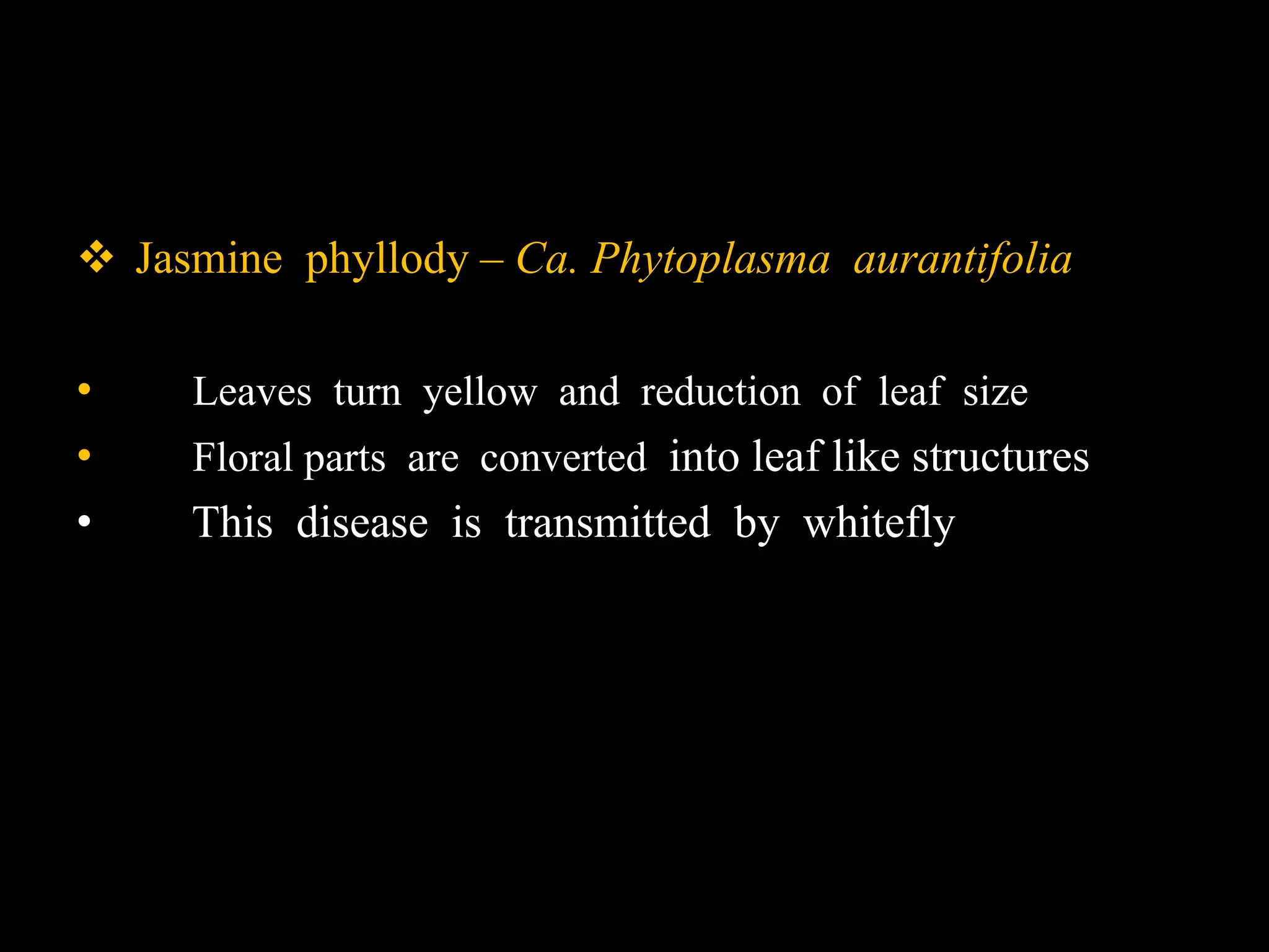 Blackgram leaf crinkle and curl disease | PPTX | Gardening | Home & Garden