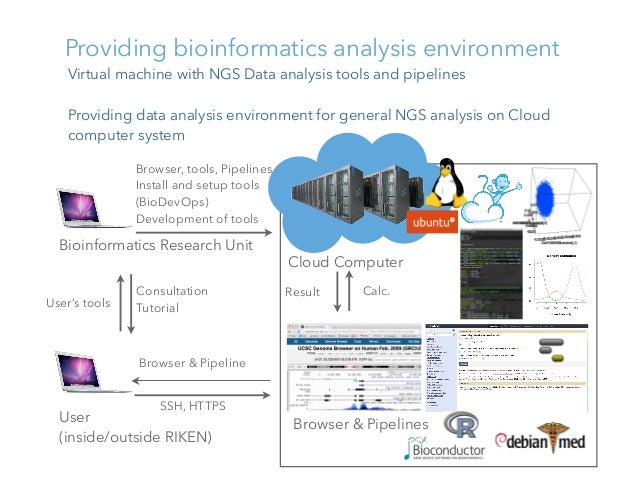 Bioinformatics Analysis Environment for Your Laboratory Use