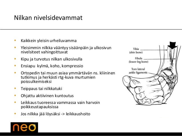 Urheilijan nilkka- ja polvivammat sekä niiden ennaltaehkäisy