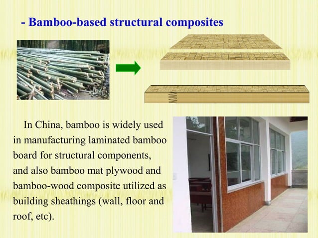 Innovative Technologies of Bamboo Processing in China | PPT