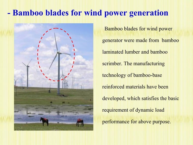 Innovative Technologies of Bamboo Processing in China | PPT
