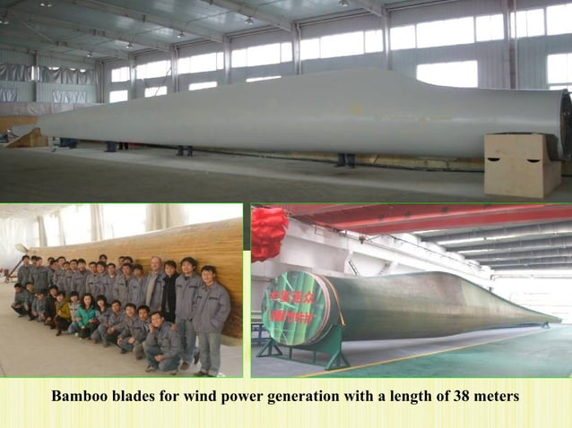 Innovative Technologies of Bamboo Processing in China | PPT