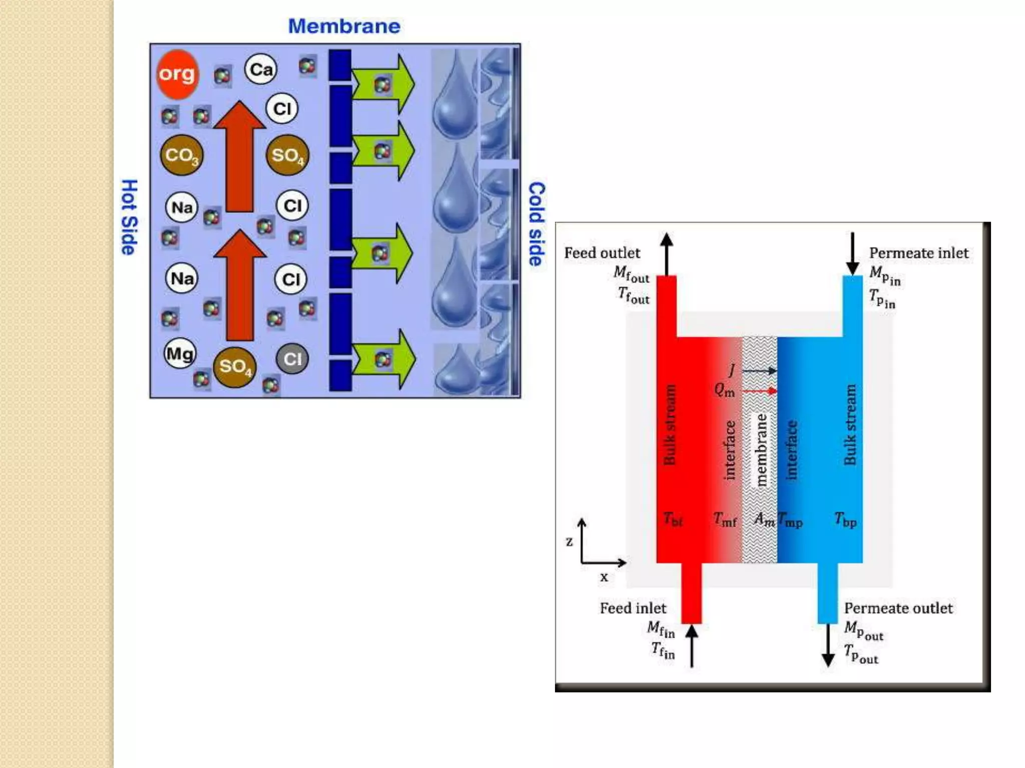 Membrane Separation techniques | PPTX